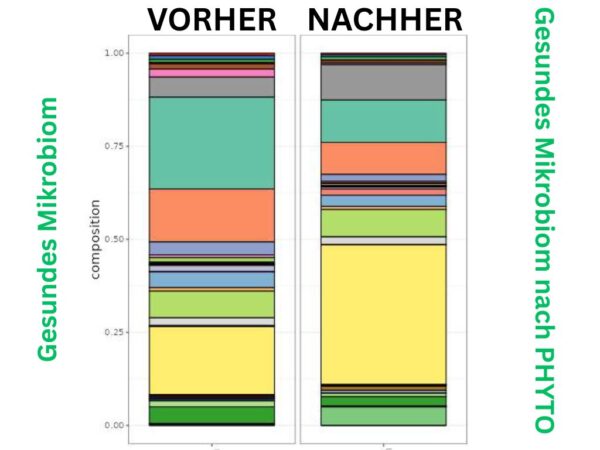Phyto – Präzisionspräbiotikum für Darm & Mikrobiom | bonafeel